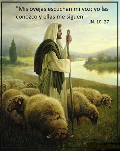 MIS OVEJAS ESCUCHAN MI VOZ