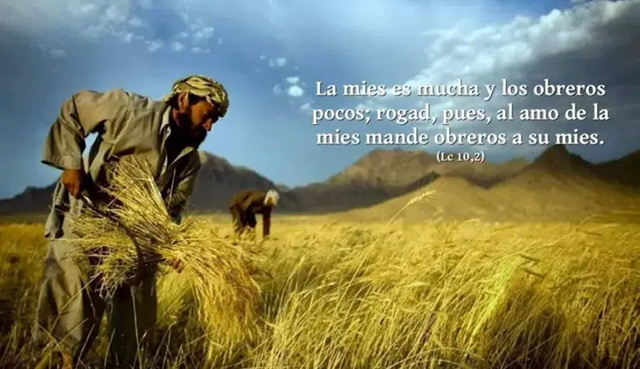 LA MIES ES ABUNDANTE, PONEOS EN CAMINO
