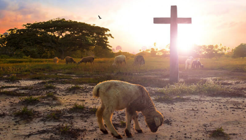 HE AQUÍ EL CORDERO DE DIOS
